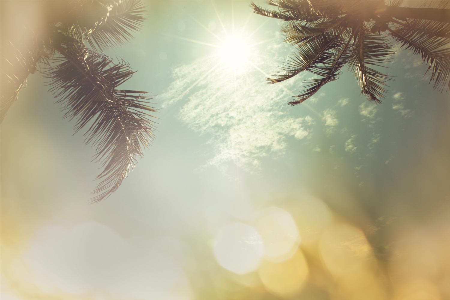 Ponche Caribe – Liqueur